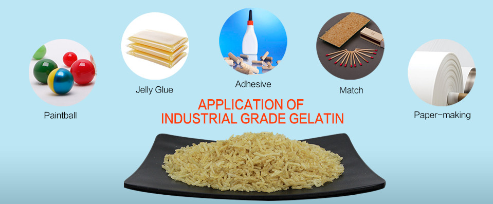 Usage of the Industrial Gelatin